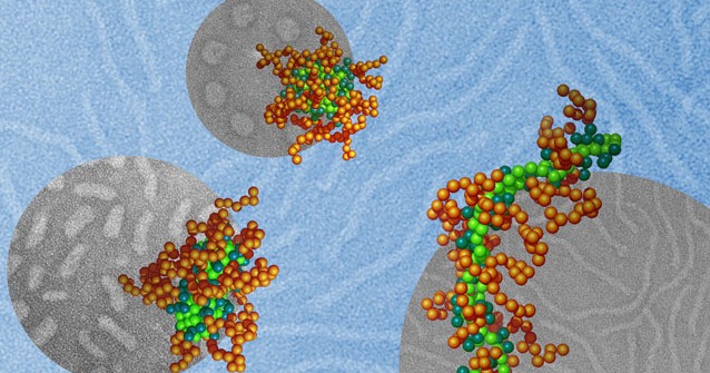 Scientists Discover that Shape Matters in DNA Nanoparticle Therapy ...