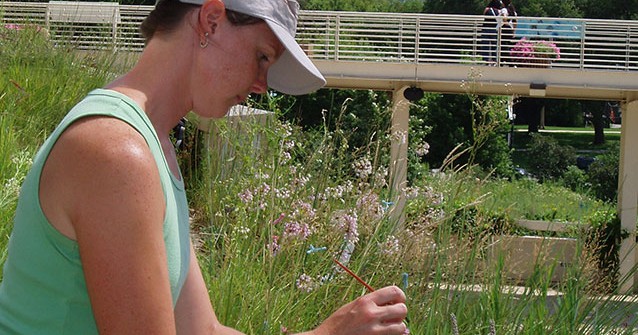 $7.5 Million Gift to Help Budding Plant Conservationists - Northwestern Now