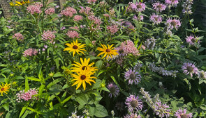Pollinator-friendly gardens don’t have to sacrifice style: For ...