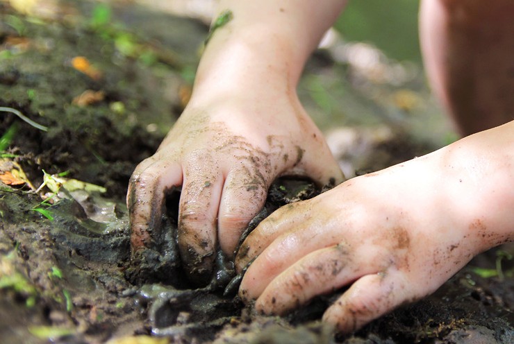 Germs at four, less inflammation at forty - Northwestern Now