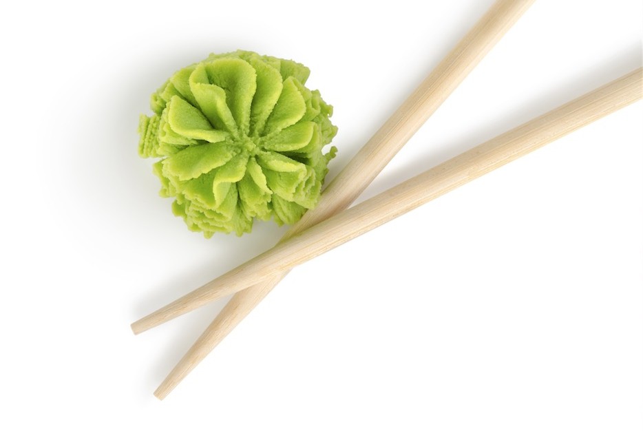 ‘Wasabi receptor’ for pain discovered in flatworms - Northwestern Now