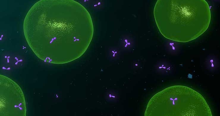 Gift from Eden and Steven Romick to support cancer research ...