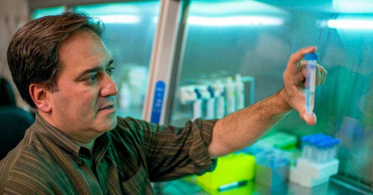 Chad Mirkin to receive prestigious Remsen Memorial Lecture Award ...