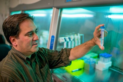 Chad Mirkin to receive prestigious Remsen Memorial Lecture Award ...