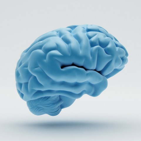 When kids’ autistic brains can’t calm down - Northwestern Now