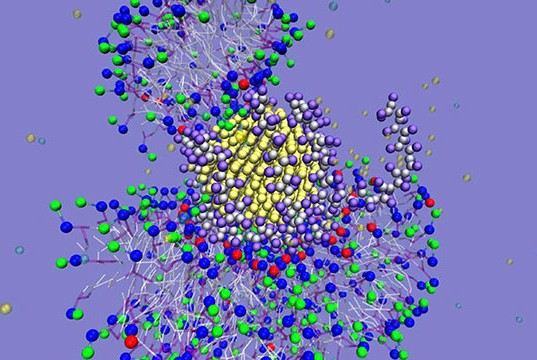 Study provides insight into how nanoparticles interact with biological ...