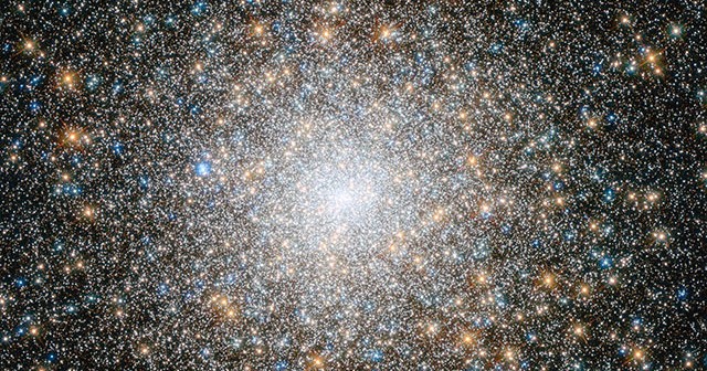 Fred Rasio receives 2019 Brouwer Award - Northwestern Now