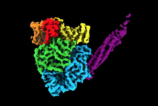 New insight into mumps, flu and RSV - Northwestern Now