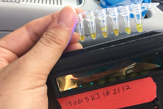 One-drop test for water contamination - Northwestern Now