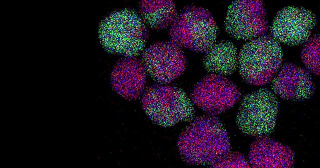 Trailblazing theoretical physicist Sylvester James Gates Jr. is among ...