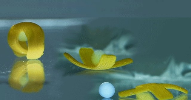 Aquatic robot inspired by sea creatures walks, rolls, transports cargo ...