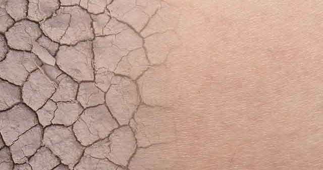 Getting under your skin: Molecular research builds new understanding of ...