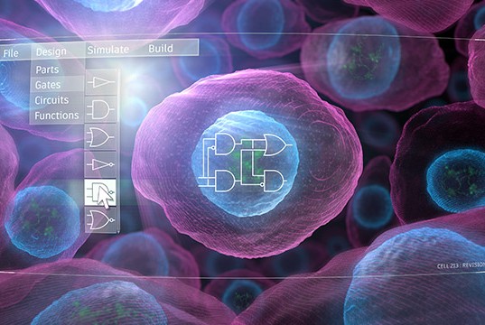 New technology enables predictive design of engineered human cells ...