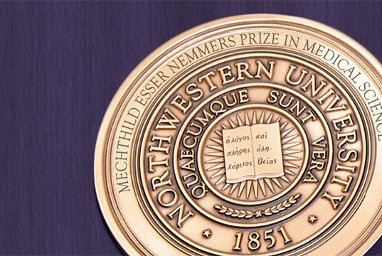 Northwestern accepting nominations for $200,000 Nemmers Prize in ...
