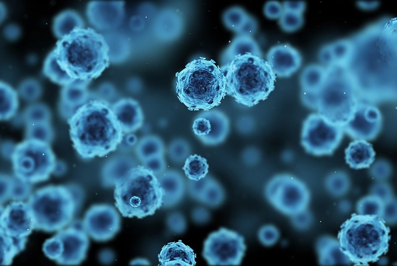 How Herpes Checks Into The Nervous System For Life Northwestern Now