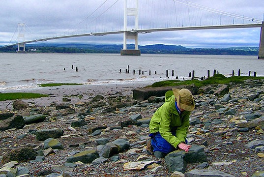 Microplastic pollution lingers in rivers for years before entering ...