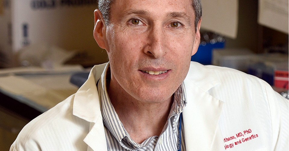 Groundbreaking molecular neuroscientist receives Nemmers Prize in ...