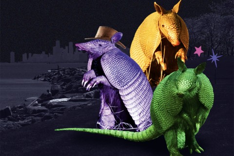 Dillo Day is back in person and better than ever - Northwestern Now