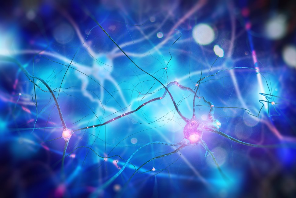Potential ALS treatment may repair axons of diseased neurons ...