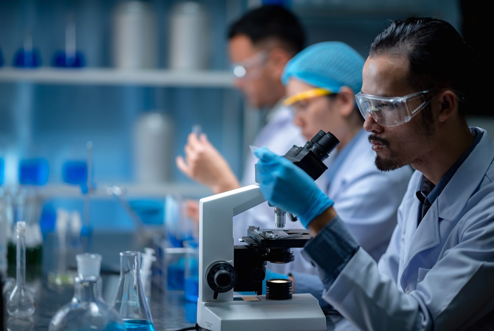 What happens when women and men work together? - Northwestern Now