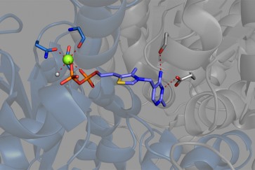 ‘Epidermal VR’ gives technology a human touch - Northwestern Now