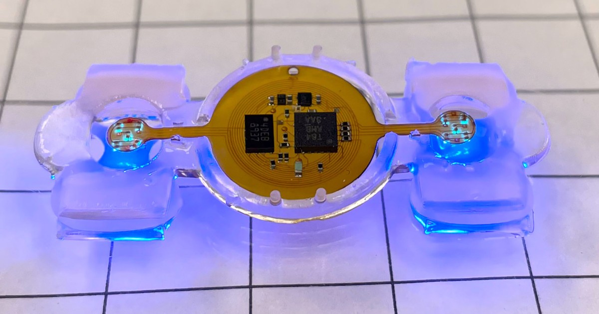 Muscle-powered robots have freedom of movement - Northwestern Now