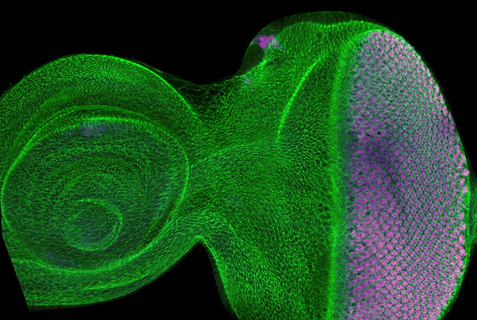 Northwestern to receive $50 million to study life sciences using ...