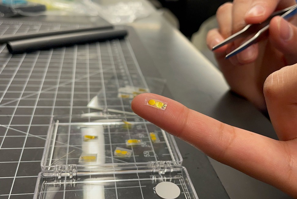 First device to monitor transplanted organs detects early signs of ...