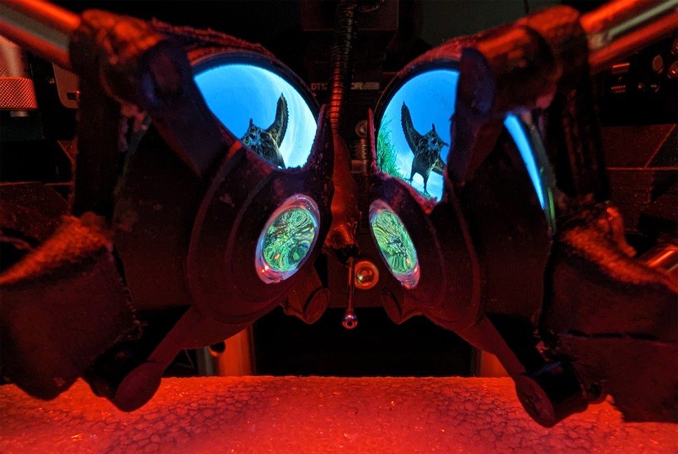 Immersive VR goggles for mice unlock new potential for brain science ...