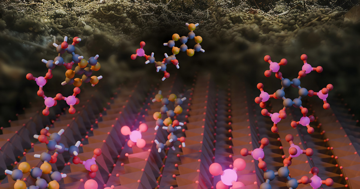 Minerals play newly discovered role in Earth’s phosphorus cycle ...