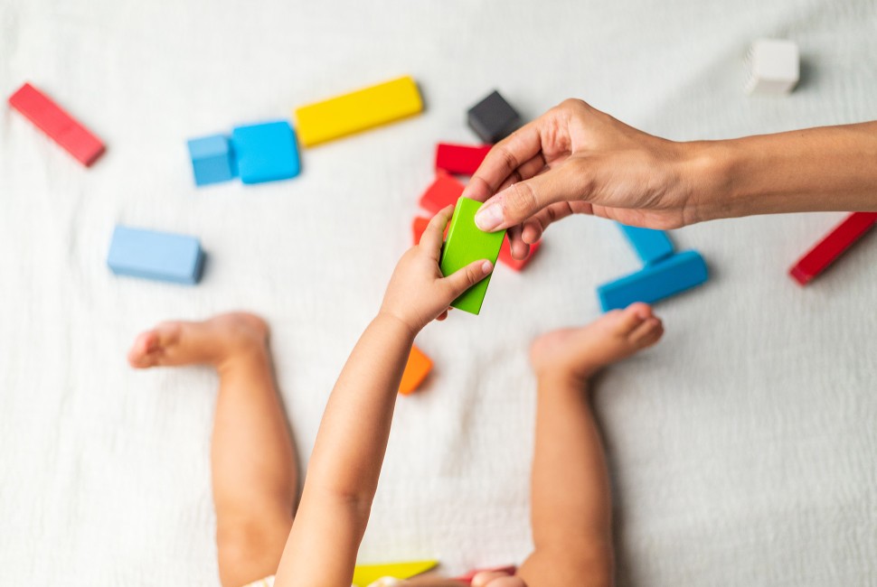 By 15 months, infants begin to learn new words for objects — even if ...