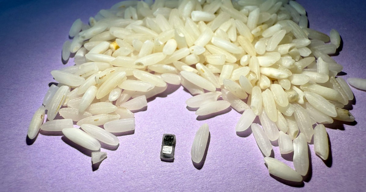 World’s smallest pacemaker is activated by light - Northwestern Now