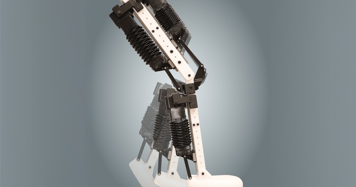 'Bone-ified Muscles' Could Be Robots' Next Flex | Mirage News