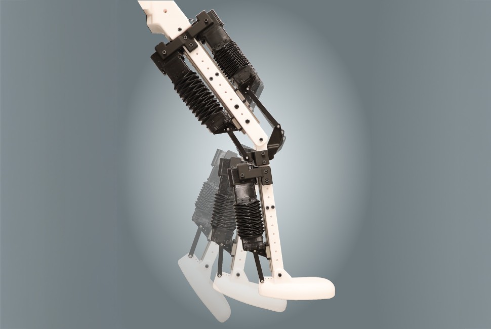‘Bone-ified muscles’ could be robots’ next flex - Northwestern Now