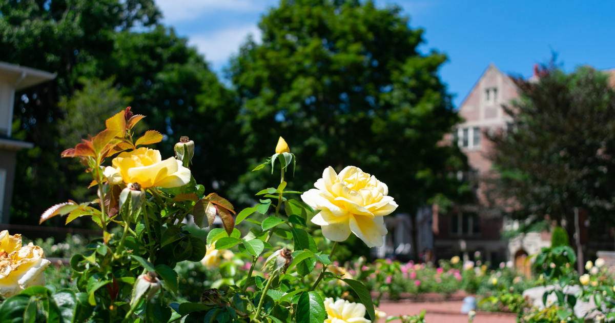 Northwestern’s Community Benefits Agreement helps build a stronger ...