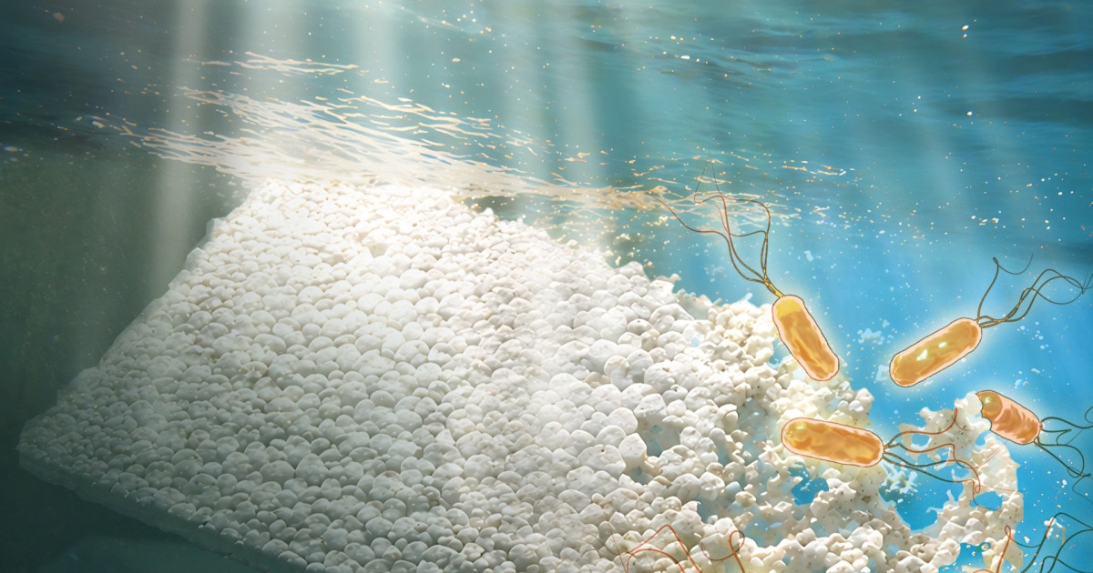 Why plastic lingers: Water chemistry slows nature’s cleanup ...